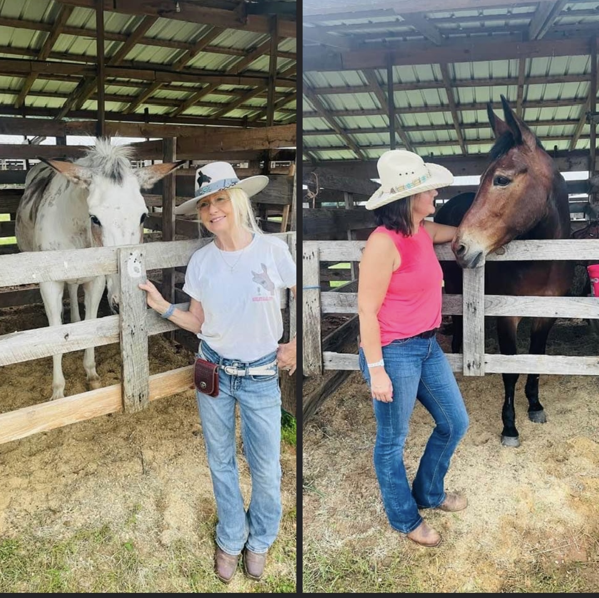 Mule Girls – Every Cowgirl’s Dream