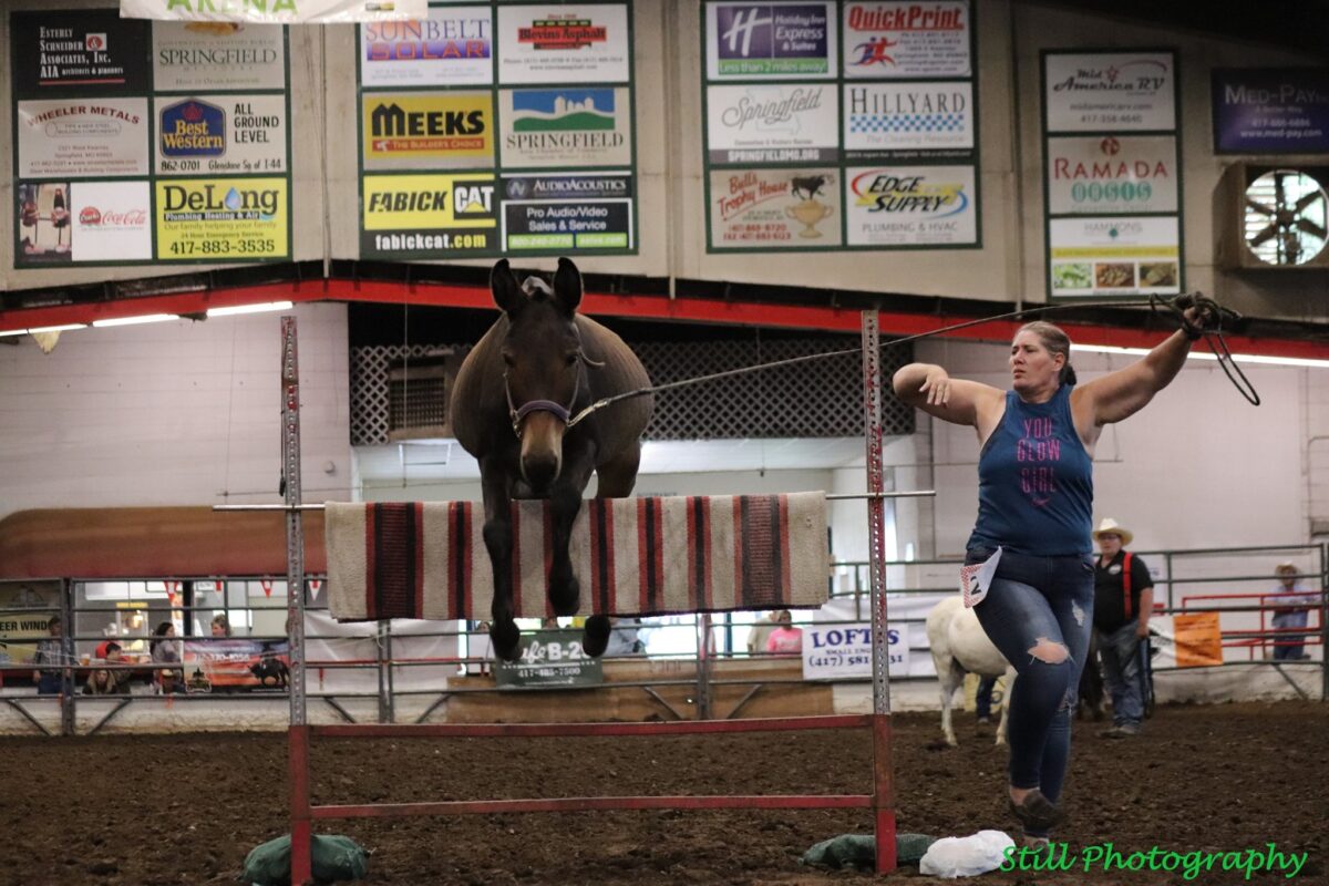 Meet Cyndi Nelson – Mule Jumping Queen – Every Cowgirl’s Dream